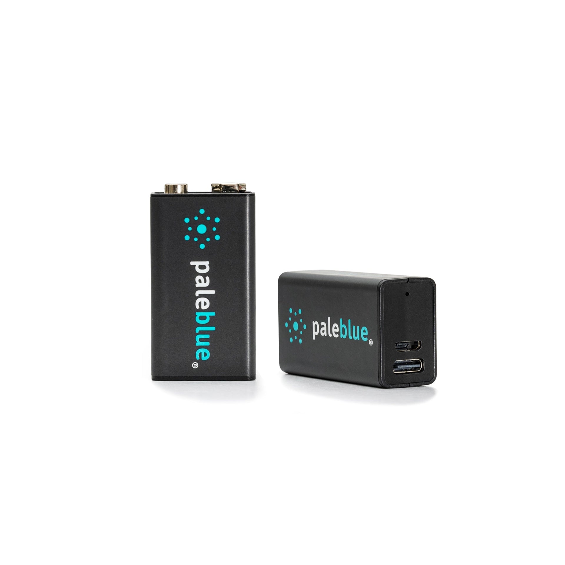D-Cell USB Rechargeable Batteries | Pale Blue Earth – Paleblue